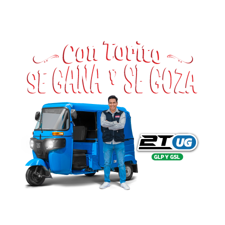 Torito - Inicio conoce sobre los diferentes modelos de torito